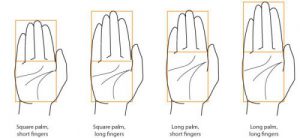 The Size Of Your Hand Says A Lot About Your Personality - MindWaft