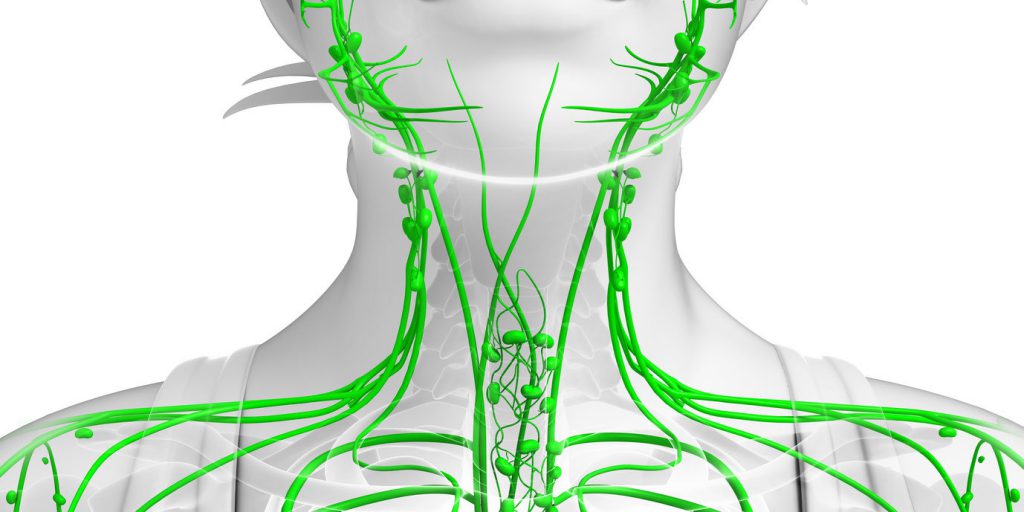 5 Simple Ways to Detox Lymph Nodes and Boost Your Immune System - MindWaft